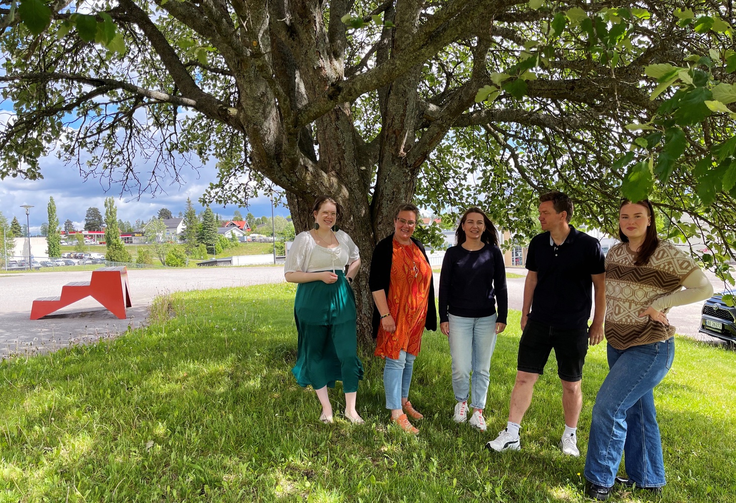 Diakonen i Eidskog kommune samarbeider tett med Friskliv og psykisk helse - NAPHA Nasjonalt ...