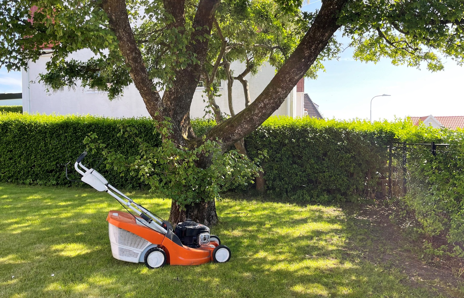 Myke verdier i kommunalt bofellesskap i Stavanger for personer med psykisk helse-, rus- og ...