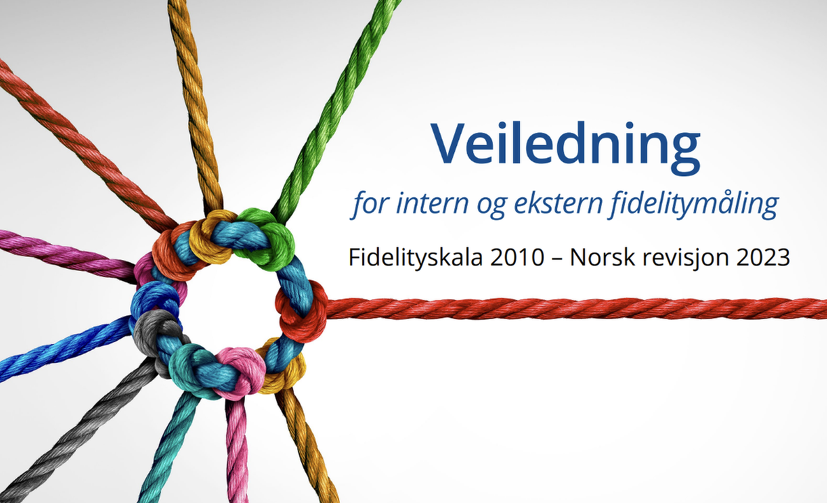 Veileder for FACT fidelityskala - NAPHA Nasjonalt kompetansesenter for ...